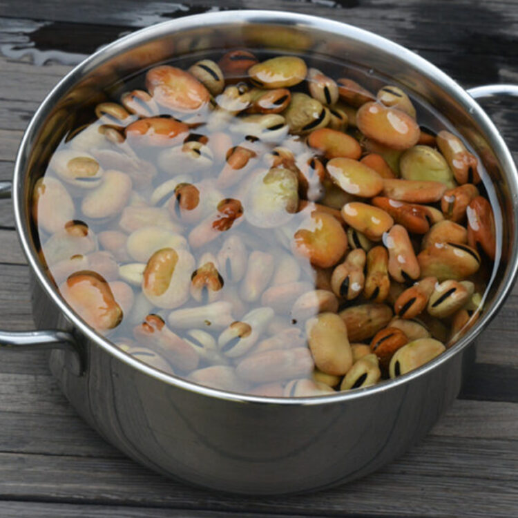 Dried Fava Beans with Cumin and Lemon/ Foul Nabet - hadias lebanese cuisine